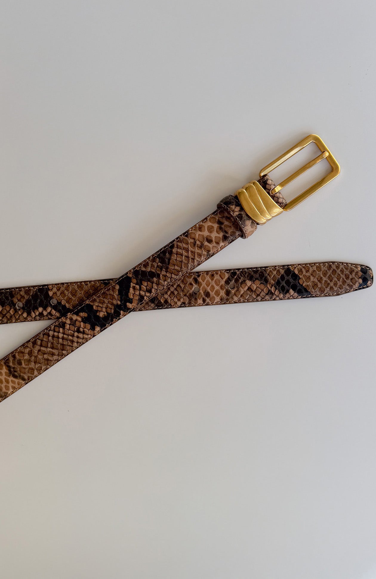 Rex Belt Snake/Vintage Gold | White Fox Boutique